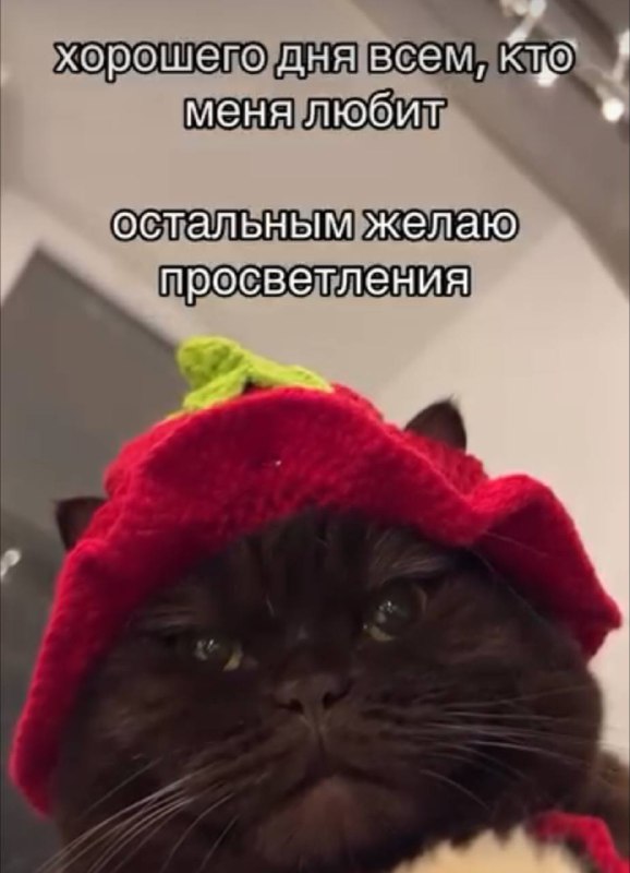 Hell voron @hell_voron Telegram канал